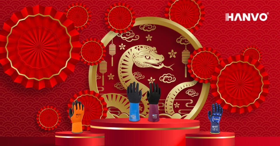 Lunar New Year: HANVO Welcomes the Year of the Snake